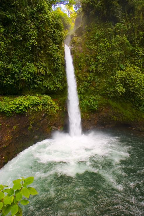 Ubicacion De La Paz Waterfall Gardens Costa Rica | Fasci Garden