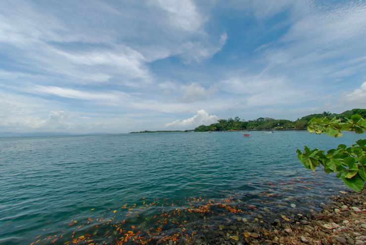 Puerto Jiménez, Costa Rica - City Guide - Go Visit Costa Rica