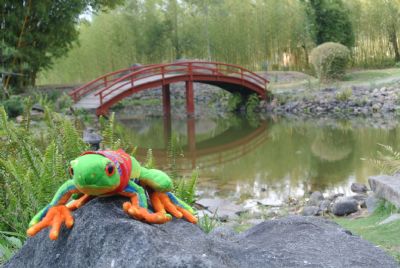 Lankester Gardens Costa Rica Rambling Around Lankester Botanical