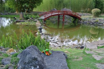 Lankester Gardens Costa Rica Rambling Around Lankester Botanical