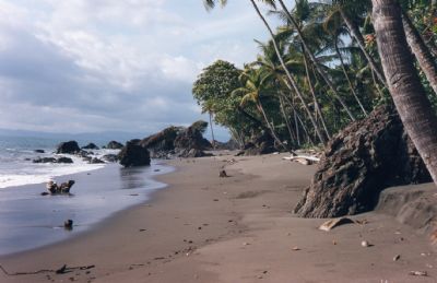 Pavones Beach Costa Rica