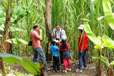 Sugar Farm Costa Rica