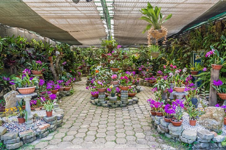 Jardín Botánico Lankester - Go Visit Costa Rica