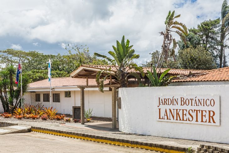 Jardín Botánico Lankester - Go Visit Costa Rica